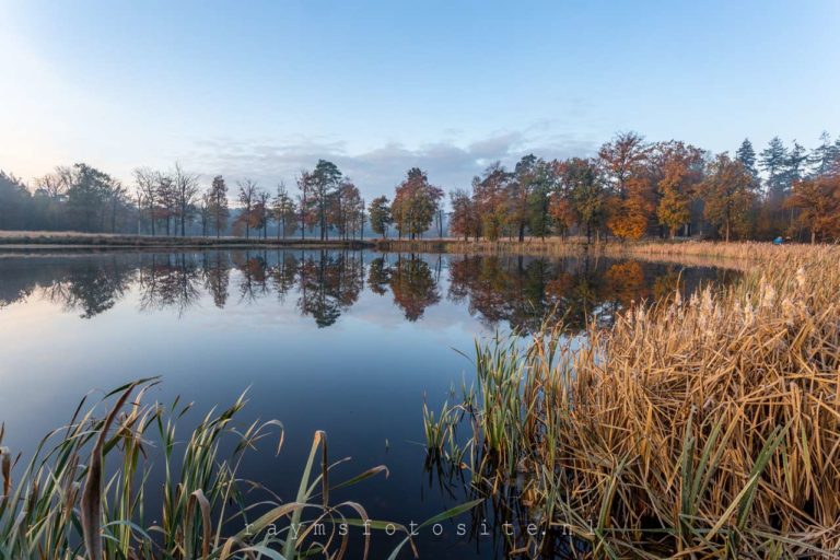 Mastbos Breda | Herfstkleuren | Prachtig bos | Galderse heide