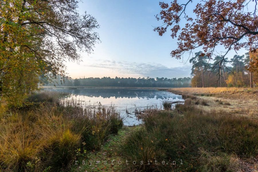 Mastbos Breda | Herfstkleuren | Prachtig bos | Galderse heide