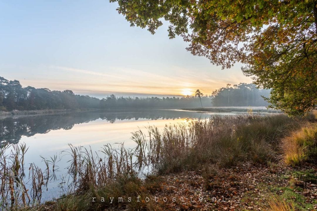 Mastbos Breda | Herfstkleuren | Prachtig bos | Galderse heide