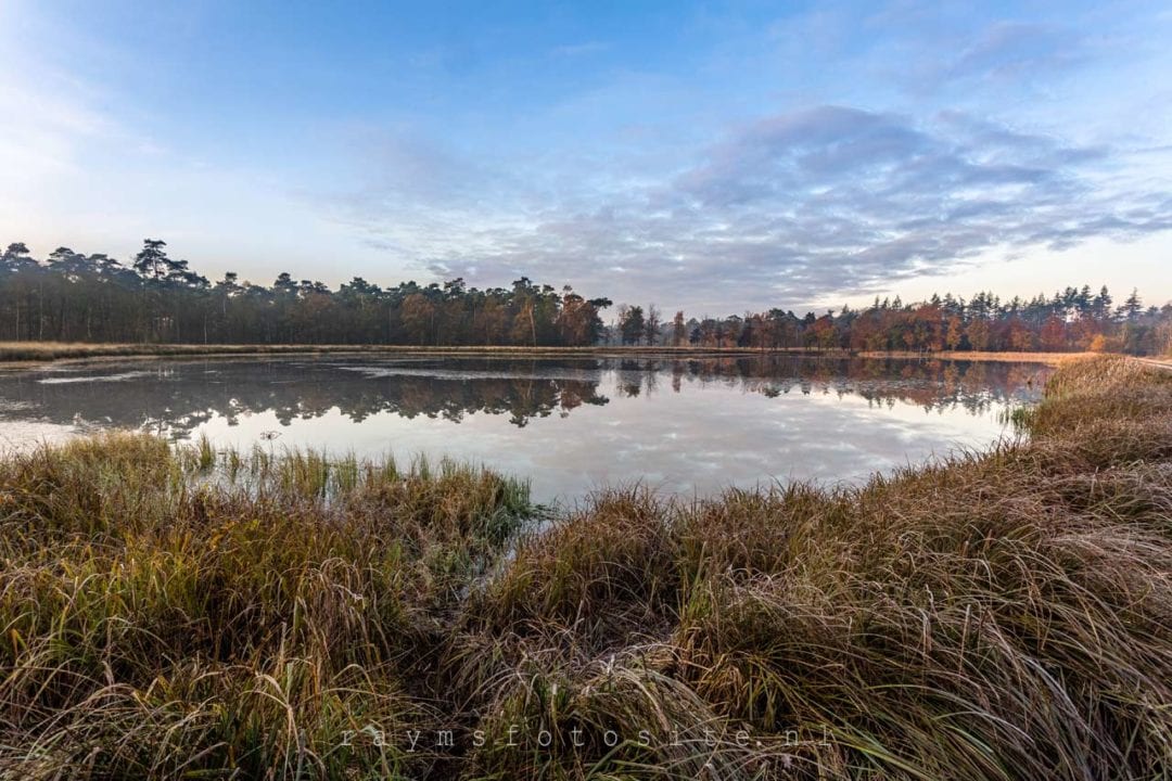 Mastbos Breda | Herfstkleuren | Prachtig bos | Galderse heide