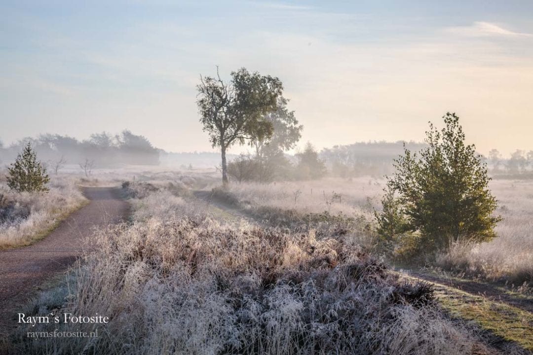 Strabrechtse Heide | zonsopkomst | Grondmist en rijp | Wasven