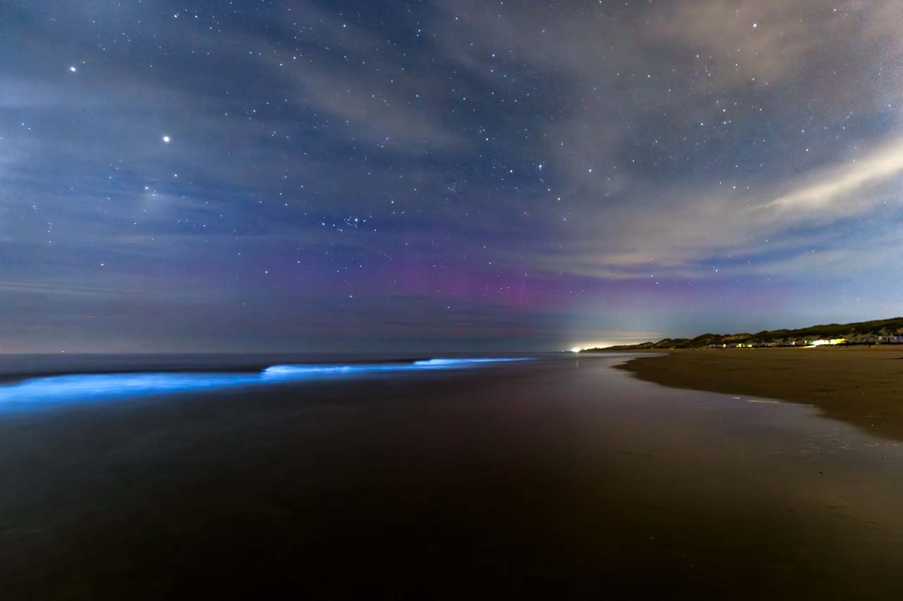 Zeevonk met Noorderlicht | Poollicht | Aurora Borealis | Egmond
