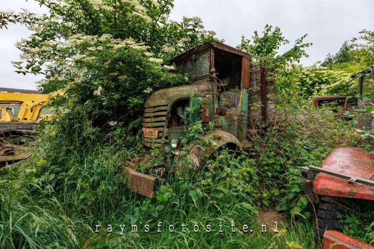 Rusty Giants | Urbex België | verlaten auto`s | voertuigen | Cars