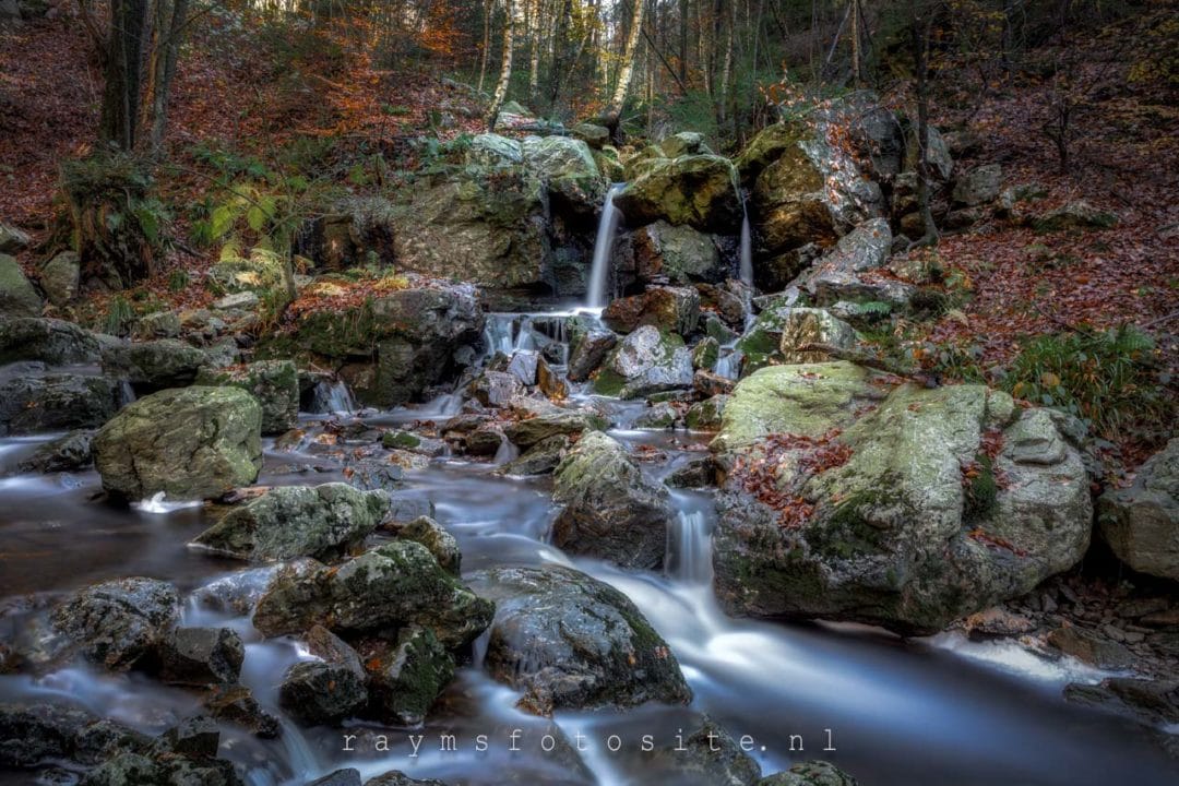 Vallei van de Statte | Wandelen langs de Statte in de Ardennen