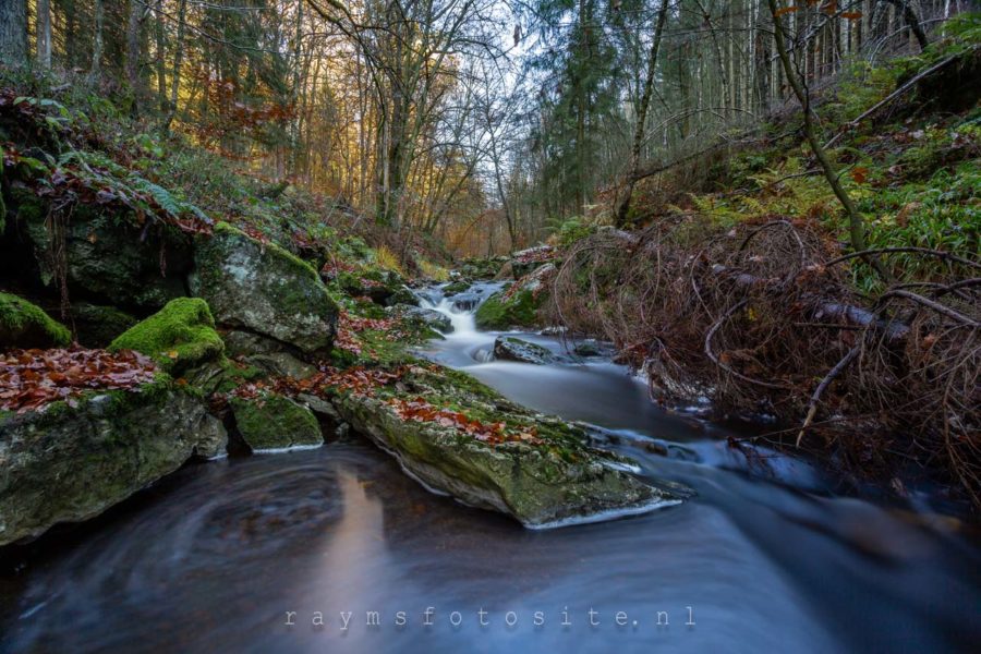 Vallei van de Statte | Wandelen langs de Statte in de Ardennen